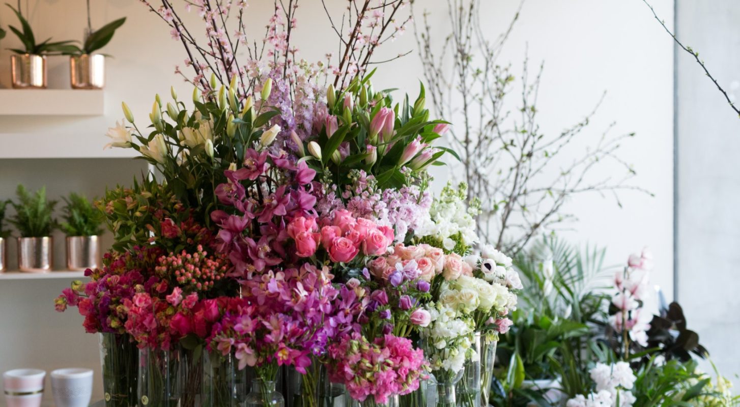 Judy Flowers [Profiles] • Instagram, Twitter, TikTok | Foller